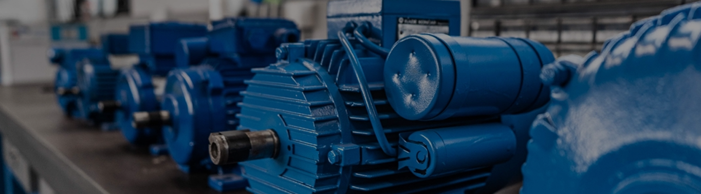 CG Power and Industrial Solutions Limited